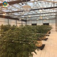 China Modern Galvanized Structure Blackout Greenhouse Wind Resistance for sale