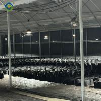 China Customization Automated Light Dep Greenhouse Large Size 3 Layers for sale