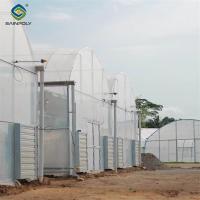 China Galvanized Steel Frame Multispan Greenhouse 30-100m Length Customized Size for sale