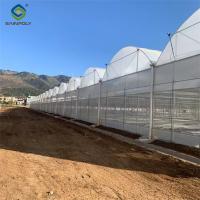 China Automated Commercial  Greenhouse Agriculture Farming Greenhouse Weather Proof for sale