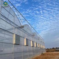 China Commercial Size Greenhouse Multispan Greenhouse UV Protection for sale
