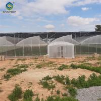 China Hydroponic Glass / Pc Sheet Greenhouse With Tomato Growing System Large for sale
