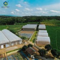 China Customized Commercial Greenhouse Vegetable Production For Pepper And Cucumber for sale