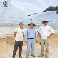 China Double Po Film Gothic High Tunnel Greenhouse High Strength Anticorrosive for sale