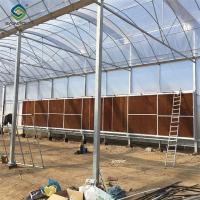China Agricultural Multi Span Poly Film Greenhouse Stable Hydroponic Growing Systems for sale