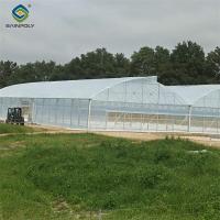 China Customizable Commercial Hydroponic Greenhouse Tomato Green House Low Maintenance for sale