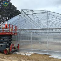 China Customizable Commercial Hydroponic Greenhouse Tomato Green House Low Maintenance for sale