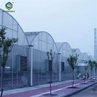 China OEM  Commercial Polycarbonate Greenhouse Kits Single Span Greenhouse Vegetable Seeding for sale