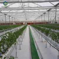China Easy To Assemble Multi Span Greenhouse For Growing Vegetables And Flowers for sale