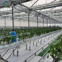 China Customized Commercial Greenhouse Vegetable Production For Pepper And Cucumber for sale