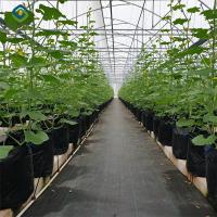 China Computerized Control Agriculture Commercial Greenhouse Space Efficient for sale