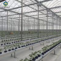 China Large Plastic Covering Greenhouse Economical Solution For Agricultural for sale