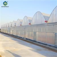 China Commercial Intelligent Greenhouse Continuous Skeleton Vegetable Greenhouse for sale