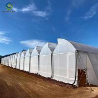China Customizable Commercial Hydroponic Greenhouse Tomato Green House Low Maintenance for sale