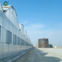 China Economical Commercial NFT Hydroponic Greenhouse Plastic Film Greenhouse for sale