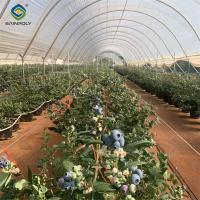 China Professional Structure Agricultural Blueberry Greenhouse Customizable for sale