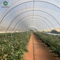 China Customization Multi Span Greenhouse Agriculture Green House For Berry for sale