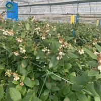 China Sainpoly Agriculture Greenhouse Steel Structure Greenhouse Customized Color for sale