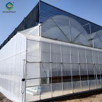 China Personalized Blueberries Greenhouse With Plastic Covering Rainproof for sale