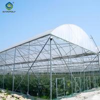 China Customized Color Plastic Cover Greenhouse For Blueberries Growth for sale