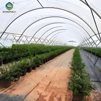 China Galvanized Frame Strong Structure Blueberry Greenhouse Farming Single Layer for sale