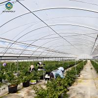China Customization Multi Span Greenhouse Agriculture Green House For Berry for sale