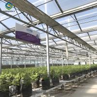 China Single Span Greenhouse Metal Frame Greenhouse For Blueberry Production for sale