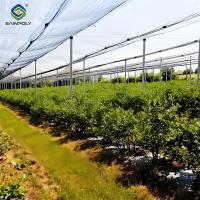 China Single Span Greenhouse Metal Frame Greenhouse For Blueberry Production for sale