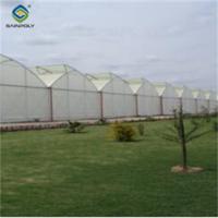 China Gothic Frame Greenhouse Large Size Agricultural Multi Span Plastic Film Greenhouse for sale