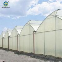 China 4m Height Steel Structure Greenhouse Gothic Type Easy Installation for sale