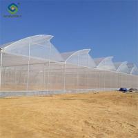 China Practical Po Film Gothic Greenhouse Multispan Agriculture Greenhouse for sale