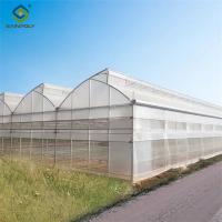 China Customization Span Large Commercial Greenhouse With Single PE Layer Frame 4m Height for sale