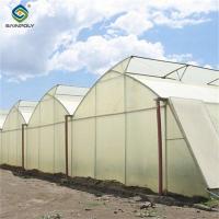 China OEM Gothic High Tunnel Greenhouse For Planting Tomato Strawberry Lettuce for sale
