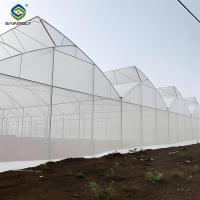 China Indoor Multi Span Plastic Film Gothic Arch Greenhouse With PC Sheet for sale