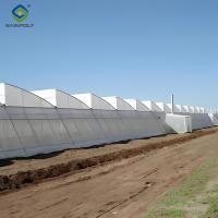 China 4m Height Steel Structure Greenhouse Gothic Type Easy Installation for sale