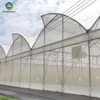 China Multispan Greenhouse Complete Hydroponic Nft Greenhouse 6.0~12.0m Span for sale