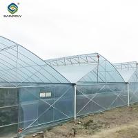China Simple Multi Span Commercial Gothic Type Greenhouse Wind Resistance for sale