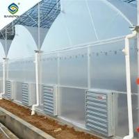 China Customization Span Large Commercial Greenhouse With Single PE Layer Frame 4m Height for sale