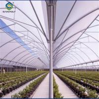 China Steel Pipe Structure Gothic Roof Greenhouse Agricultural High Performance for sale
