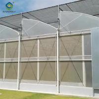 China Galvanized Steel Gothic Shaped Greenhouse Snow Resistance With Ventilation System for sale
