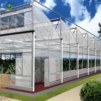 China OEM Gothic High Tunnel Greenhouse For Planting Tomato Strawberry Lettuce for sale