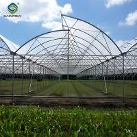 China Customization Commercial Gothic Type Greenhouse With Electric Systems for sale