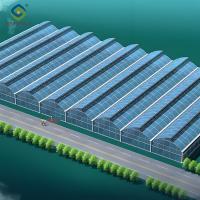 China Customization Span Large Commercial Greenhouse With Single PE Layer Frame 4m Height for sale