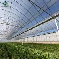 China Strong Ventilation Plastic Film Greenhouse With Hydroponic Growing System for sale