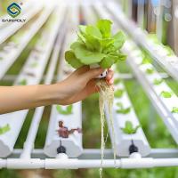 China OEM Agricultural Hydroponic Green House With Top And Side Window Ventilation for sale