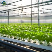China OEM Agricultural Hydroponic Green House With Top And Side Window Ventilation for sale