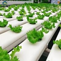 China Substrate Cultivation Outdoor Hydroponics Greenhouse Weather Resistance for sale