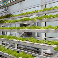 China ISO Certification Commercial Hydroponic Greenhouse For Agriculture Anti Corrosion for sale