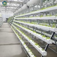 China Customization Hydroponic System Greenhouse With Rolling Benches for sale