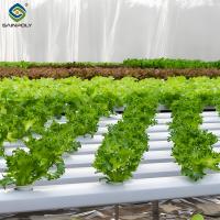 China High Production Automated Hydroponic Greenhouse Large Glass Greenhouses for sale